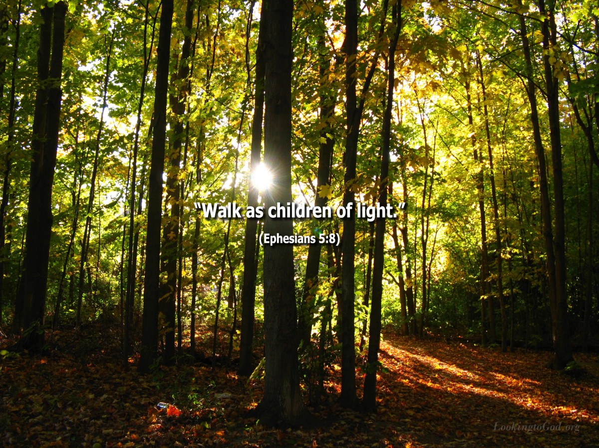 Let Your Light Shine – Looking to God