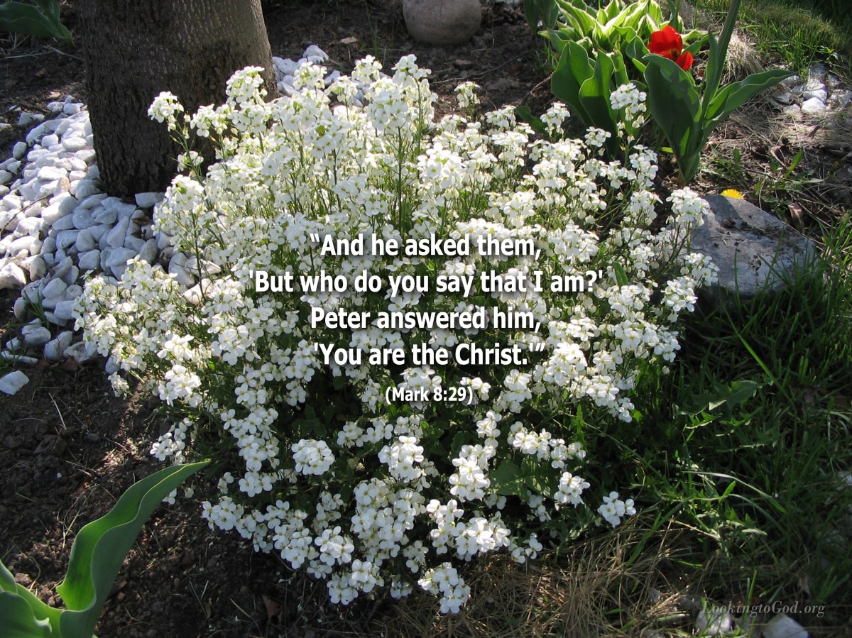 He Is Christ Jesus – Looking to God