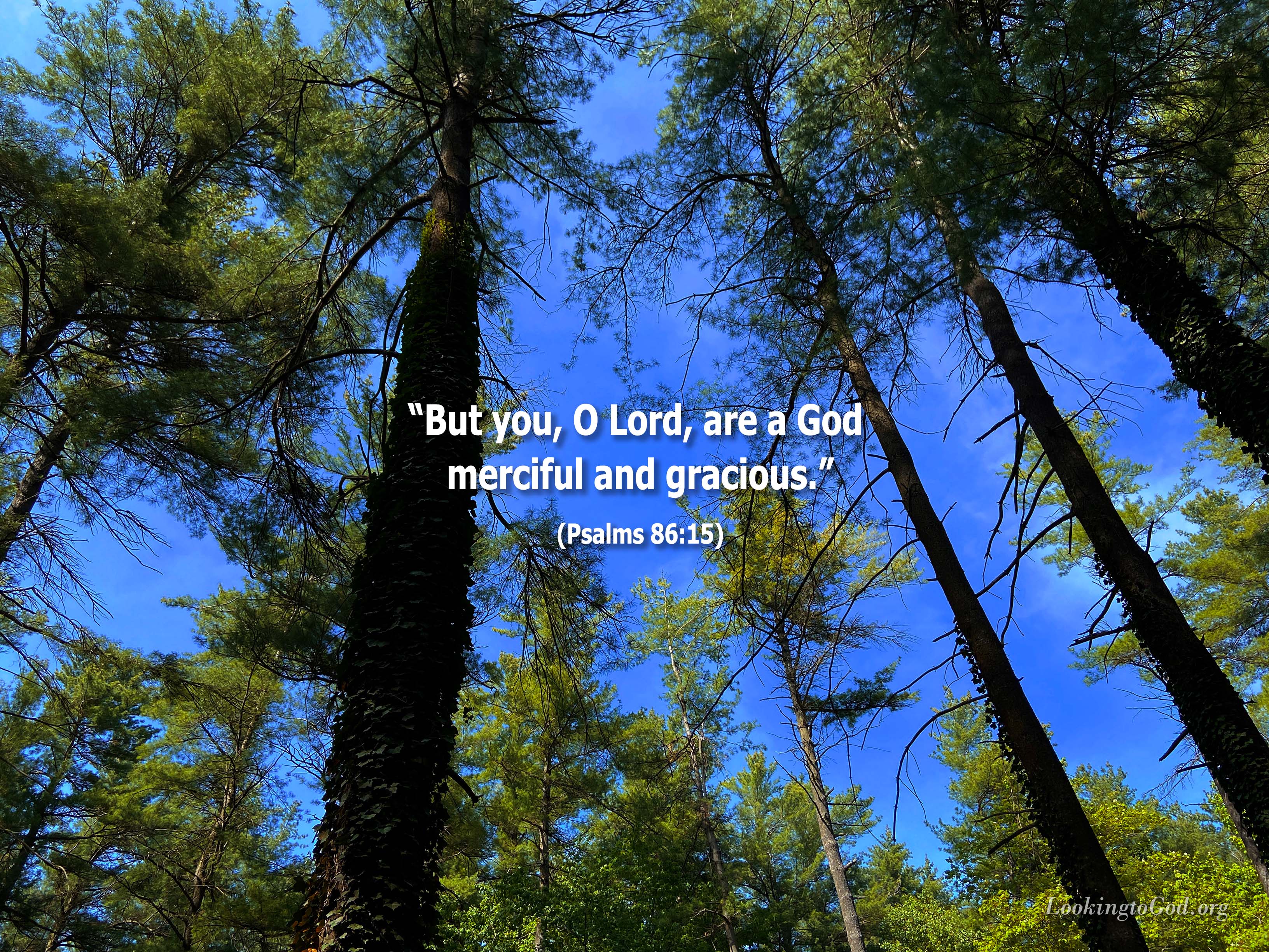 Looking to God – Seek first the kingdom of God and his righteousness ...