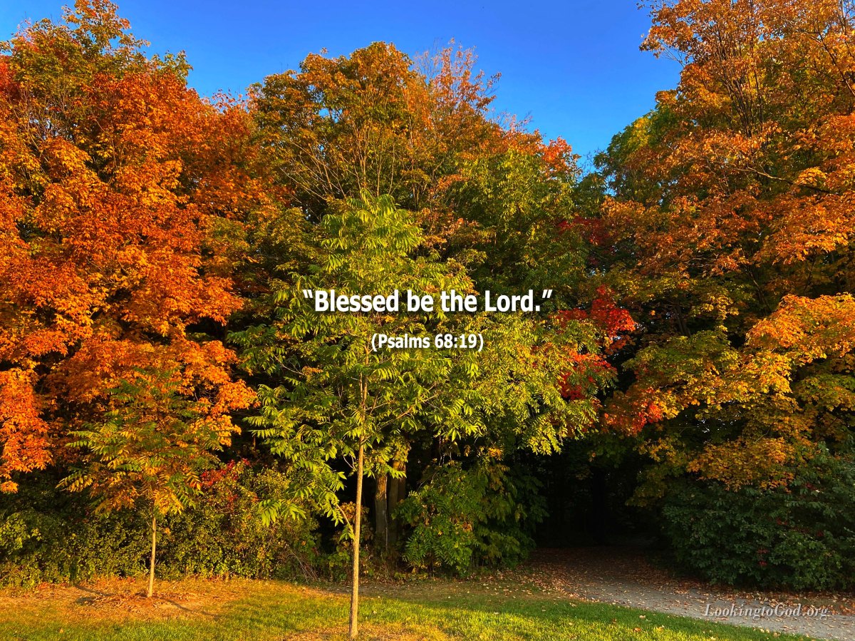 Blessed Be the Lord – Looking to God