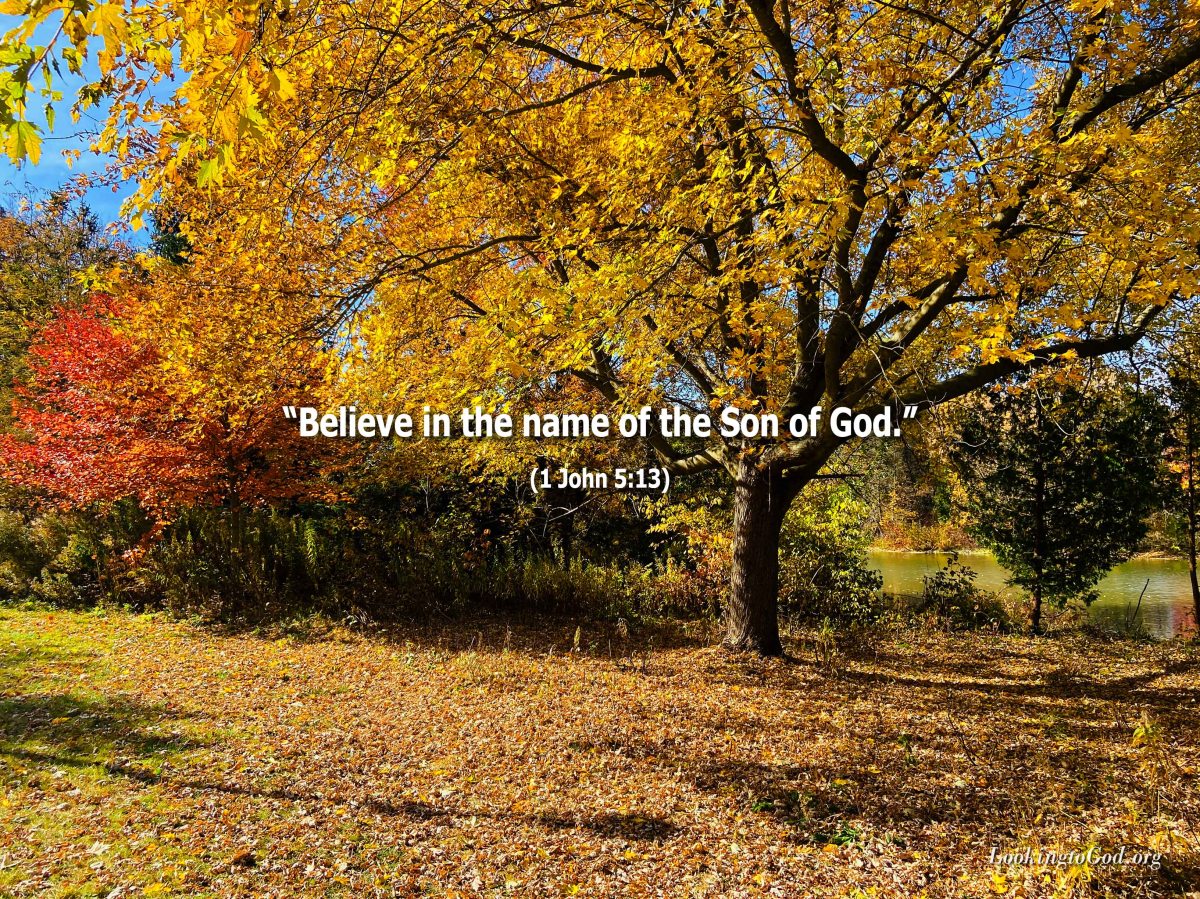 Believe God – Looking to God