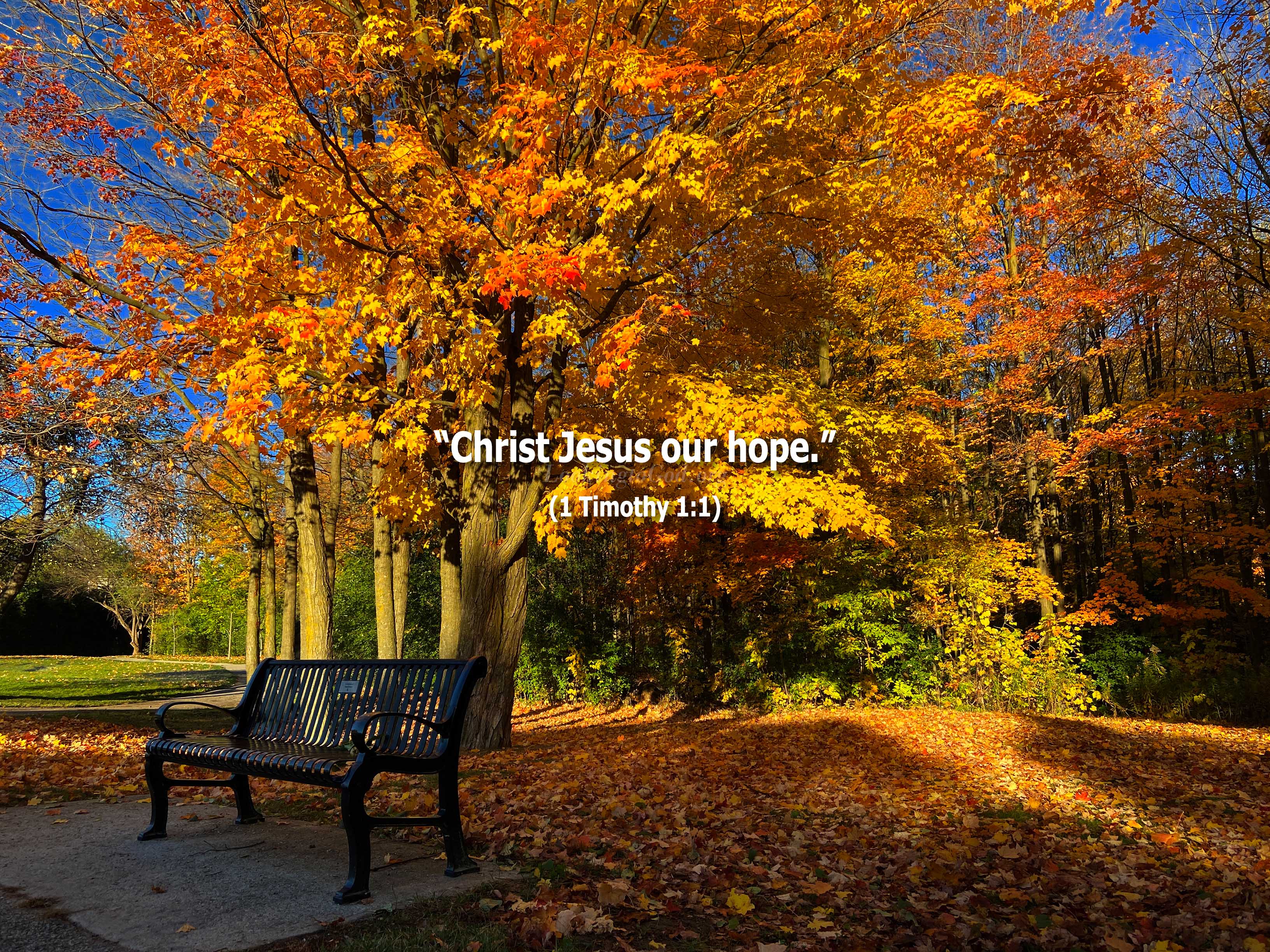 Jesus Is Our Hope – Looking to God