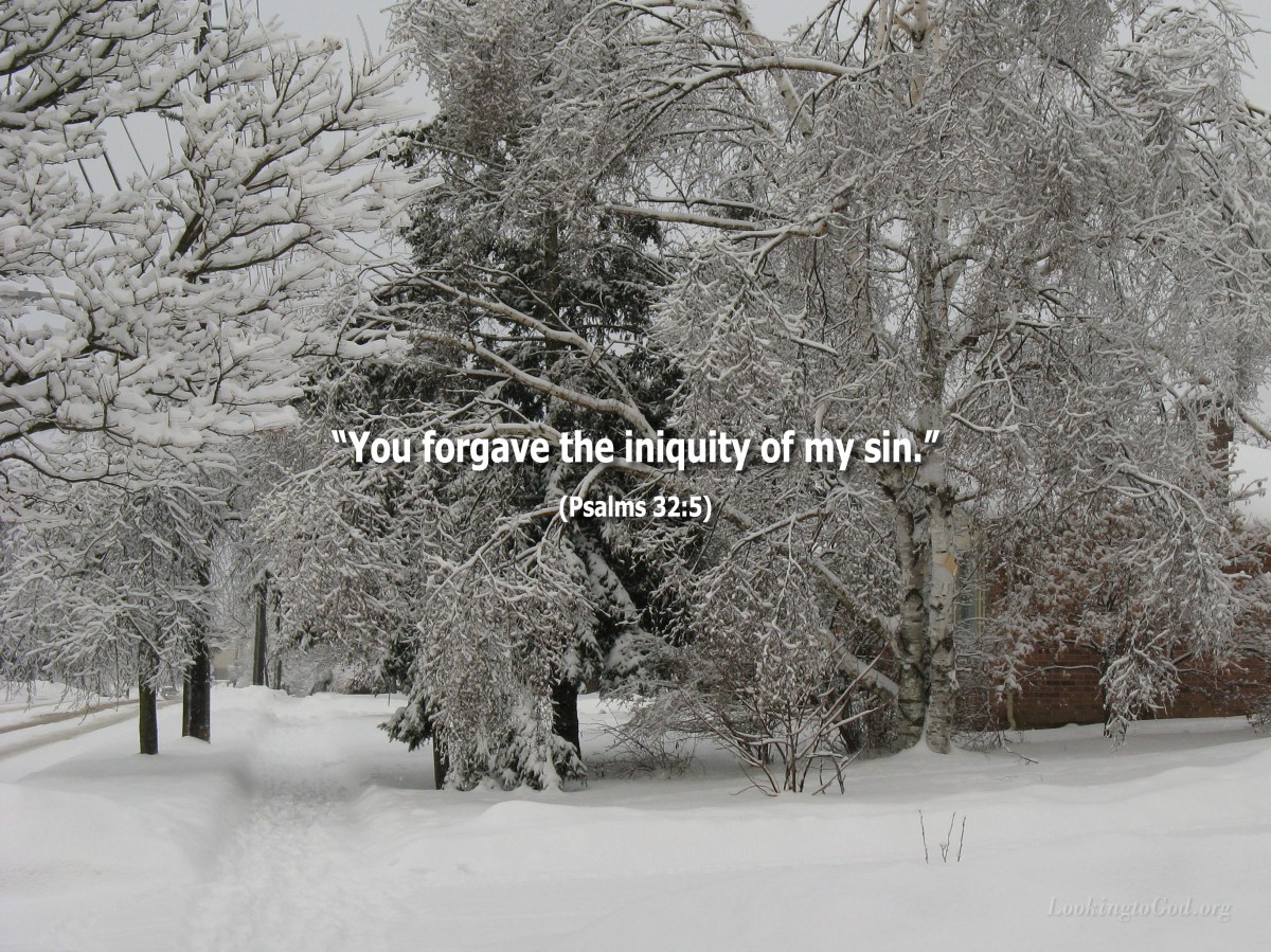 He Forgave the Iniquity of Your Sin – Looking to God