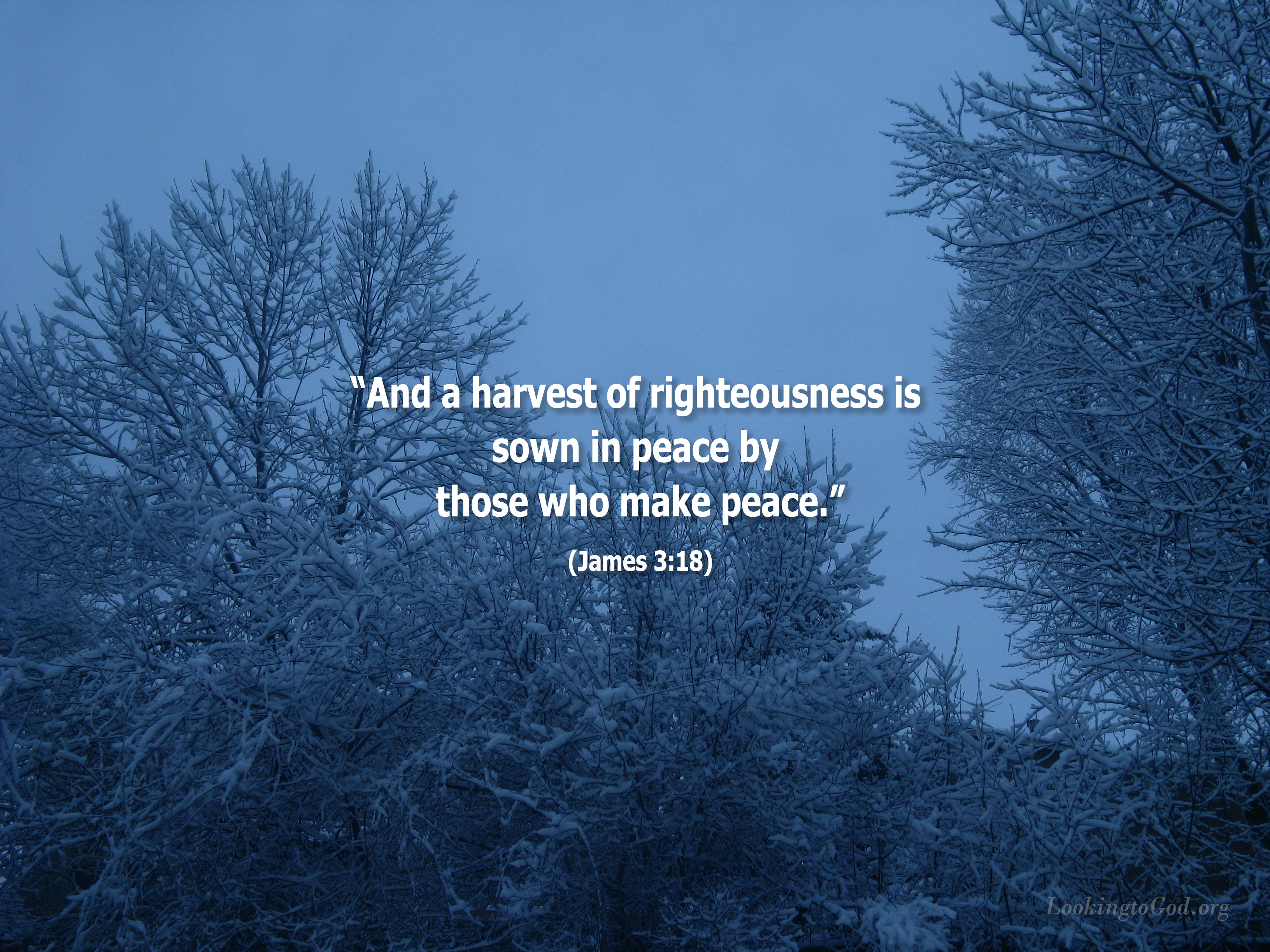A Harvest of Righteousness Is Sown in Peace – Looking to God