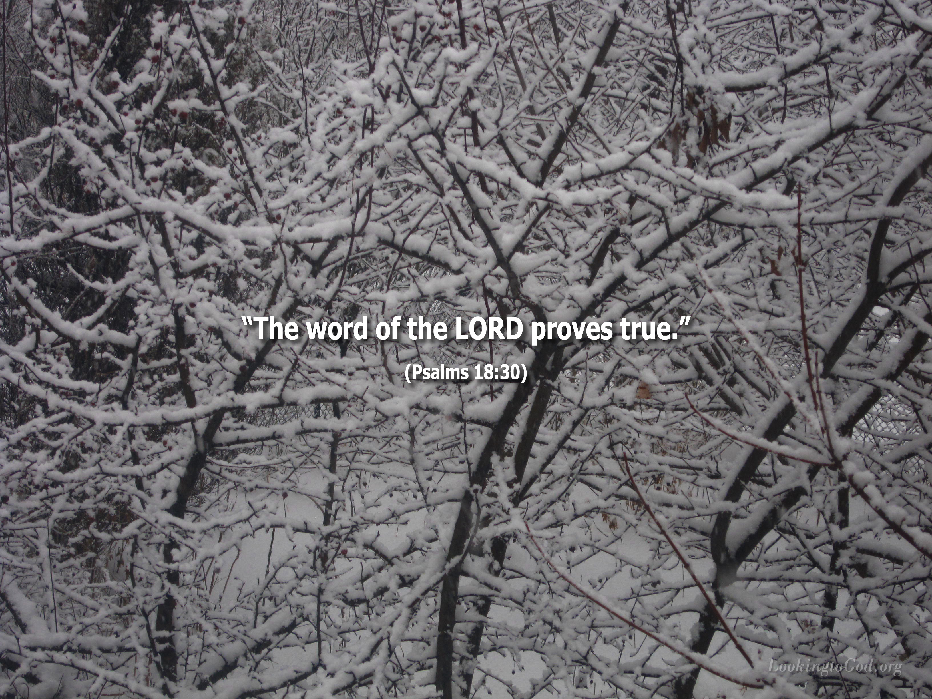 The Word of the LORD Proves True – Looking to God