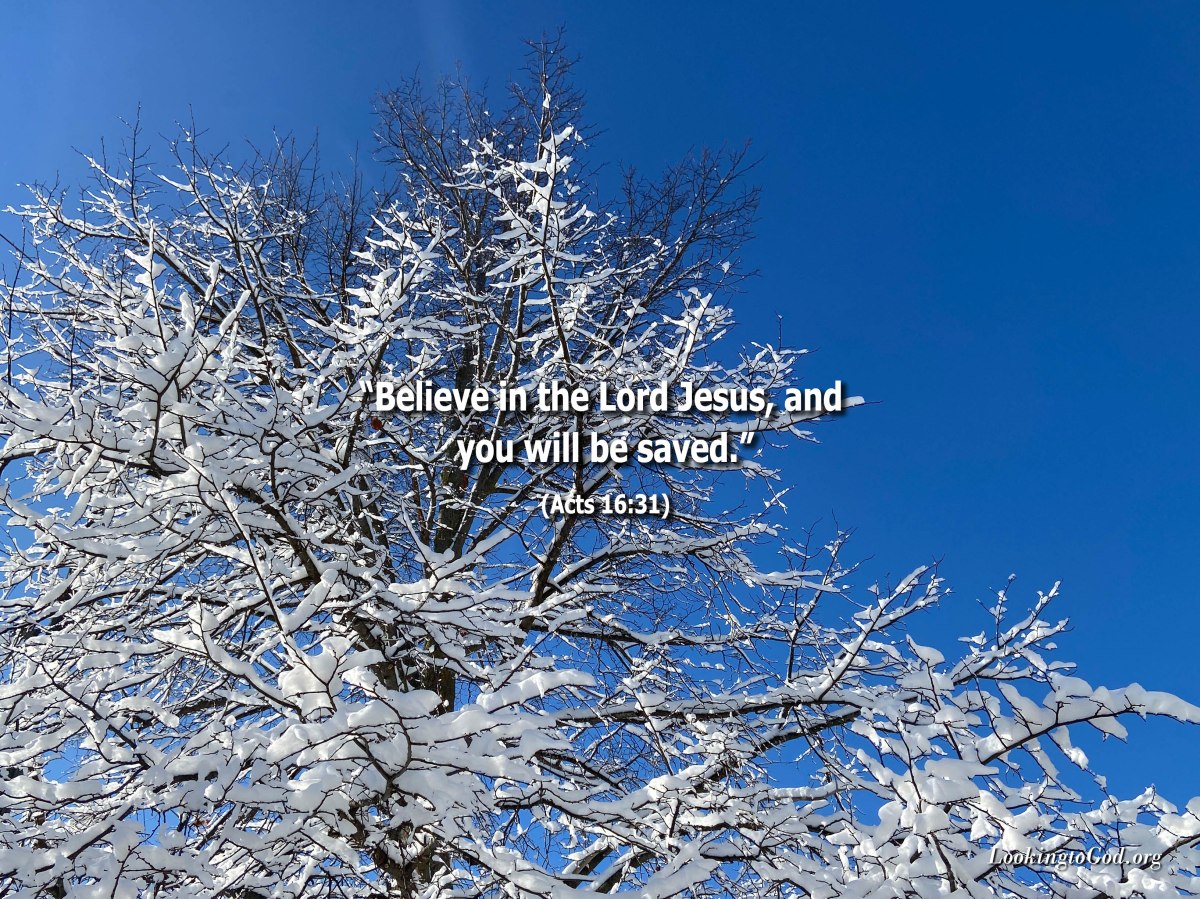 Believe in the Lord Jesus – Looking to God