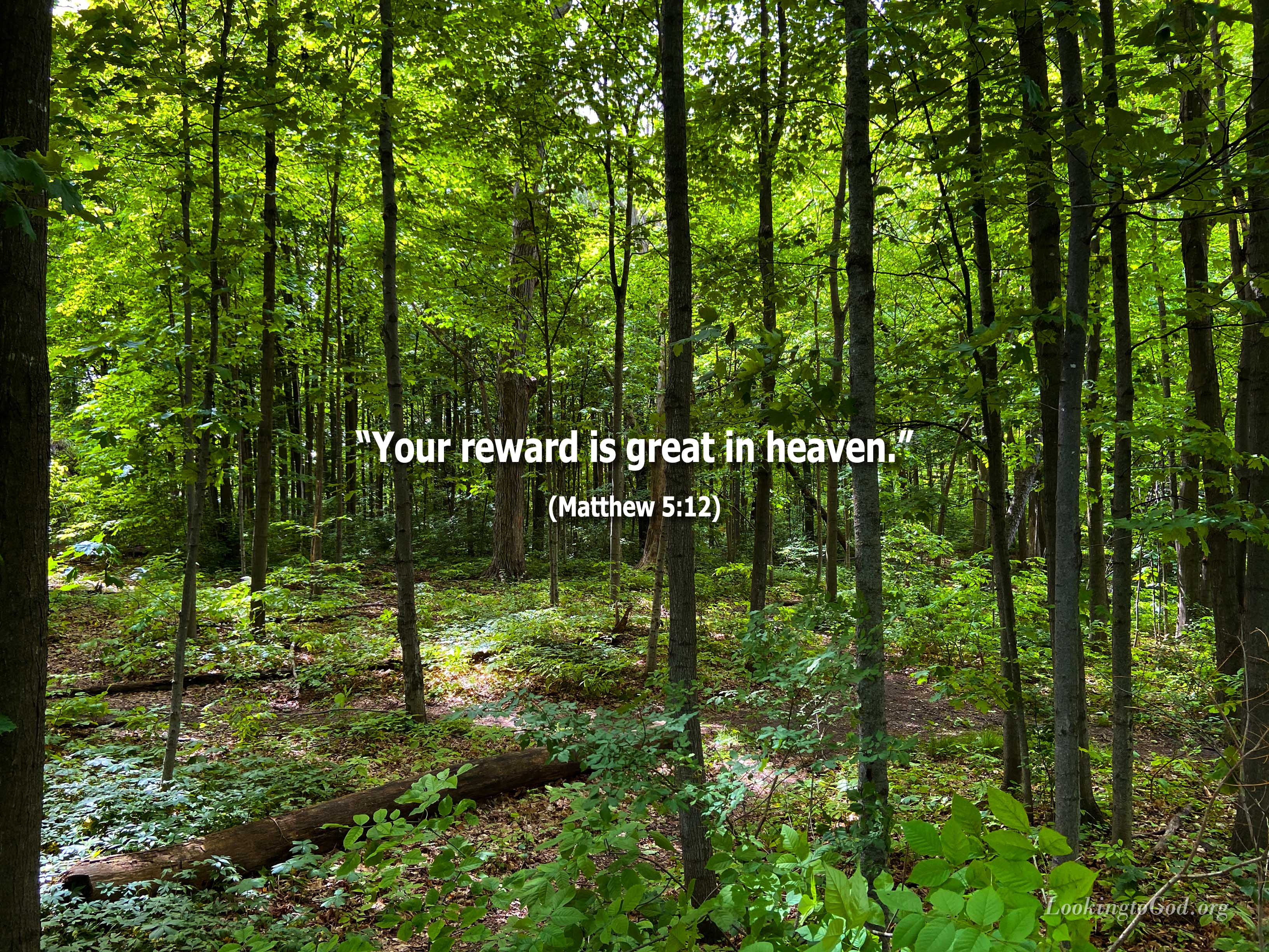 Great Is Your Reward in Heaven – Looking to God