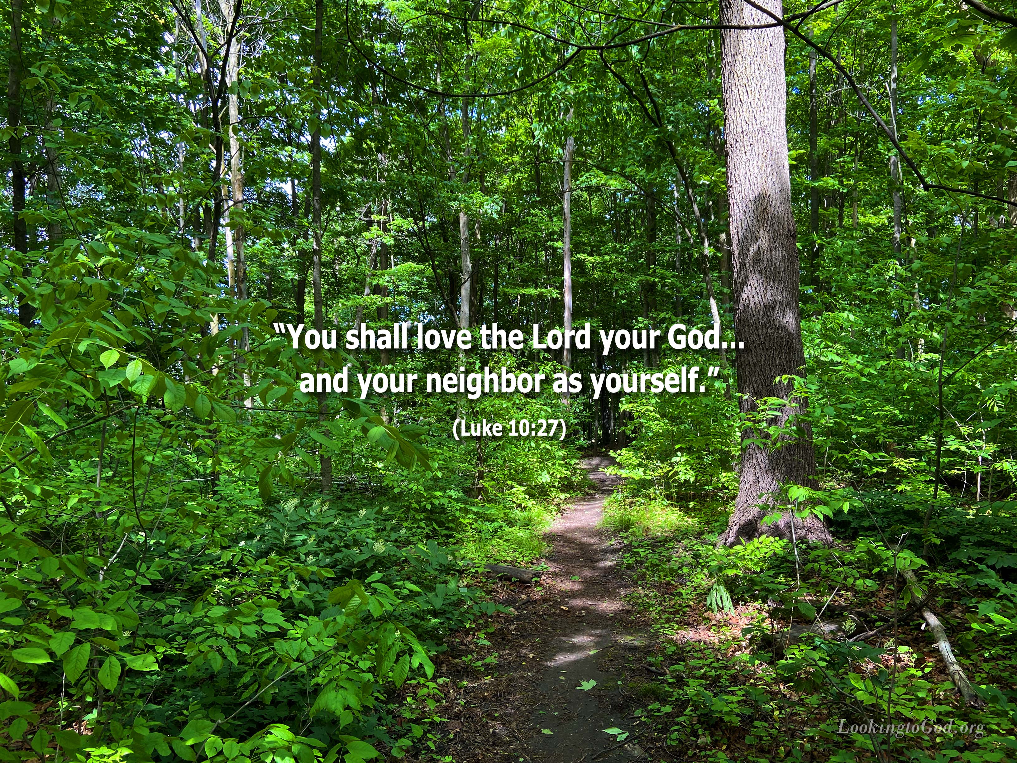 Love God, and Your Neighbor as Yourself – Looking to God