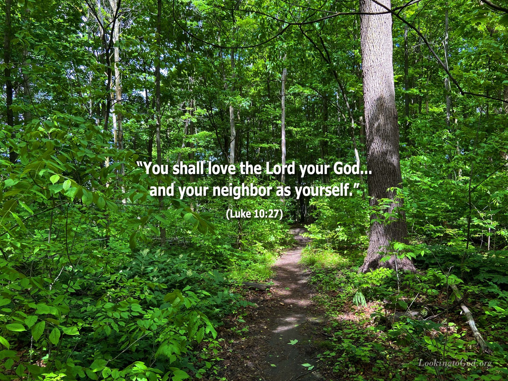 Love God, and Your Neighbor as Yourself – Looking to God