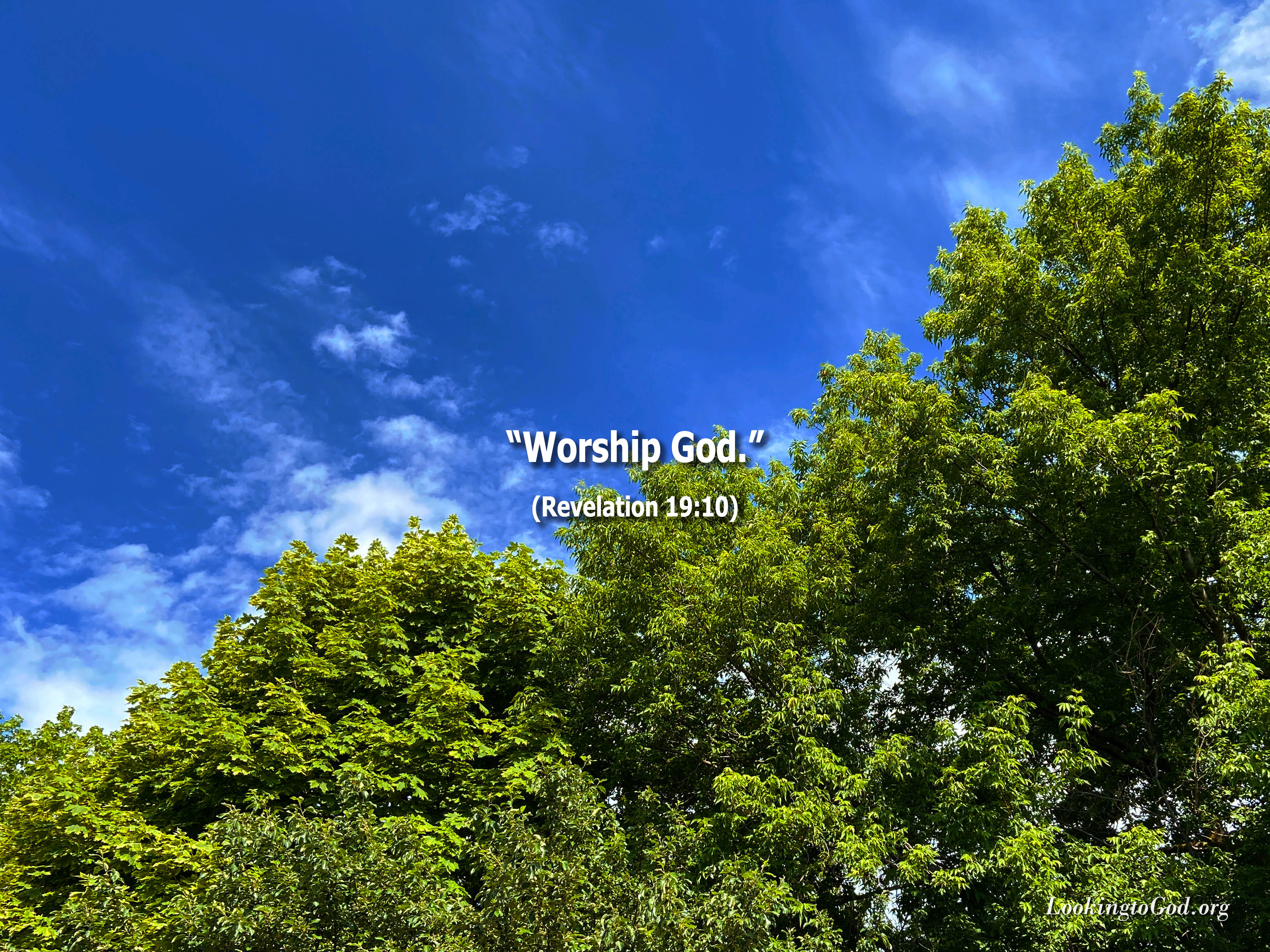 Worship God – Looking to God