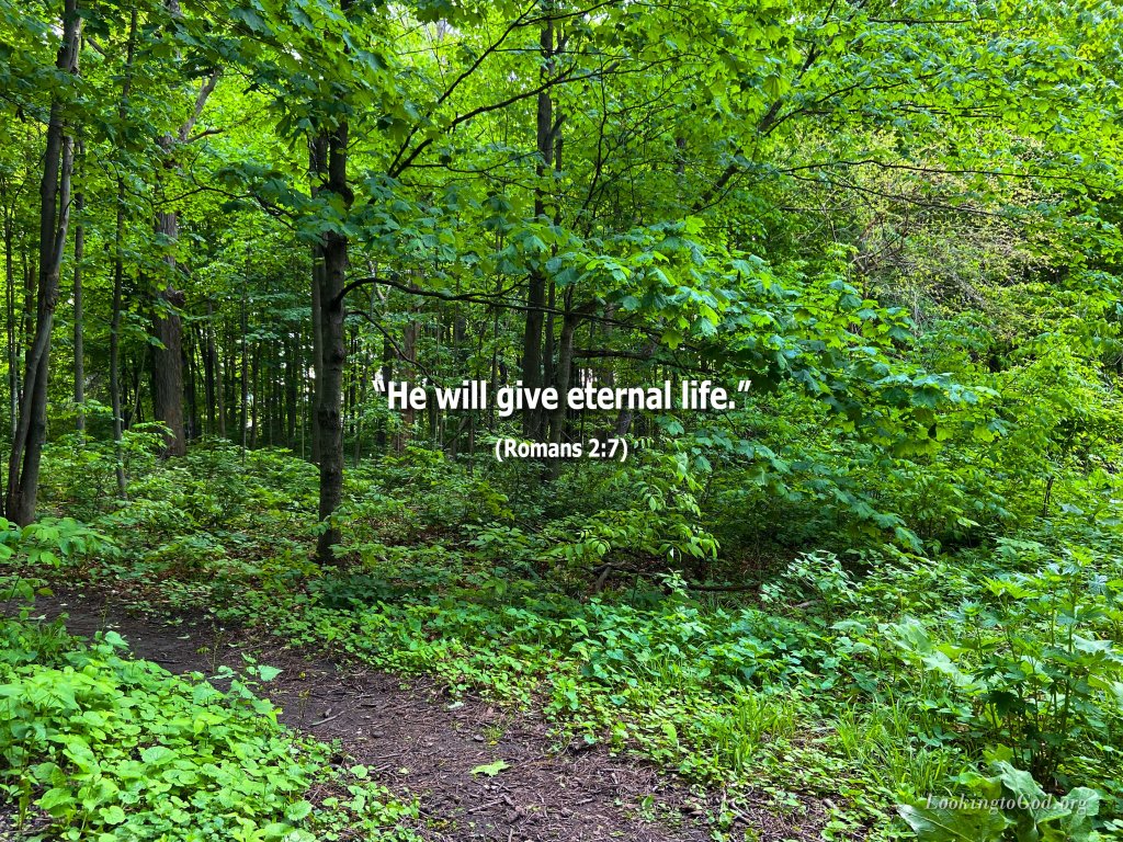 God Will Give Eternal Life – Looking to God