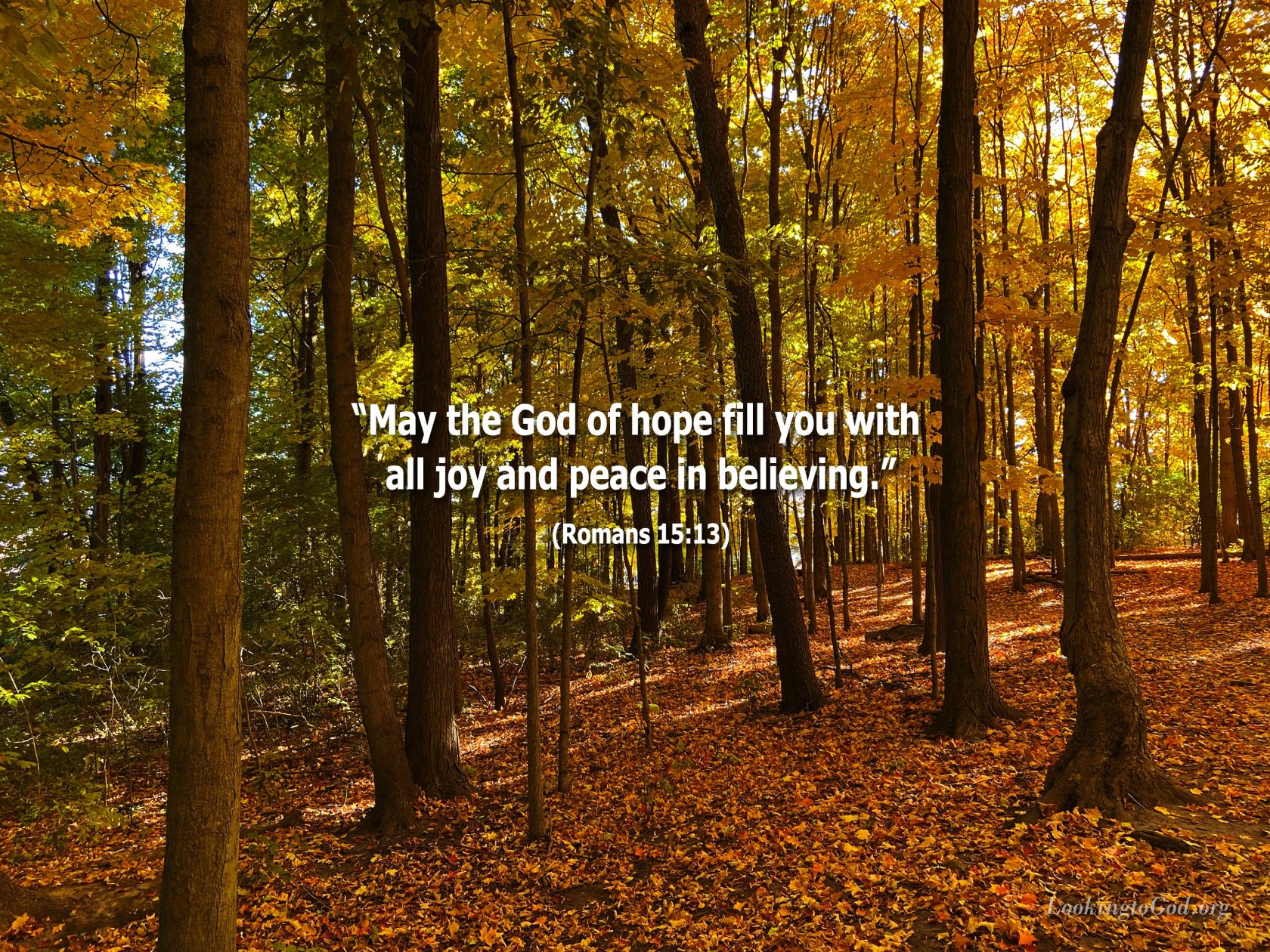 May God Fill You with Joy – Looking to God
