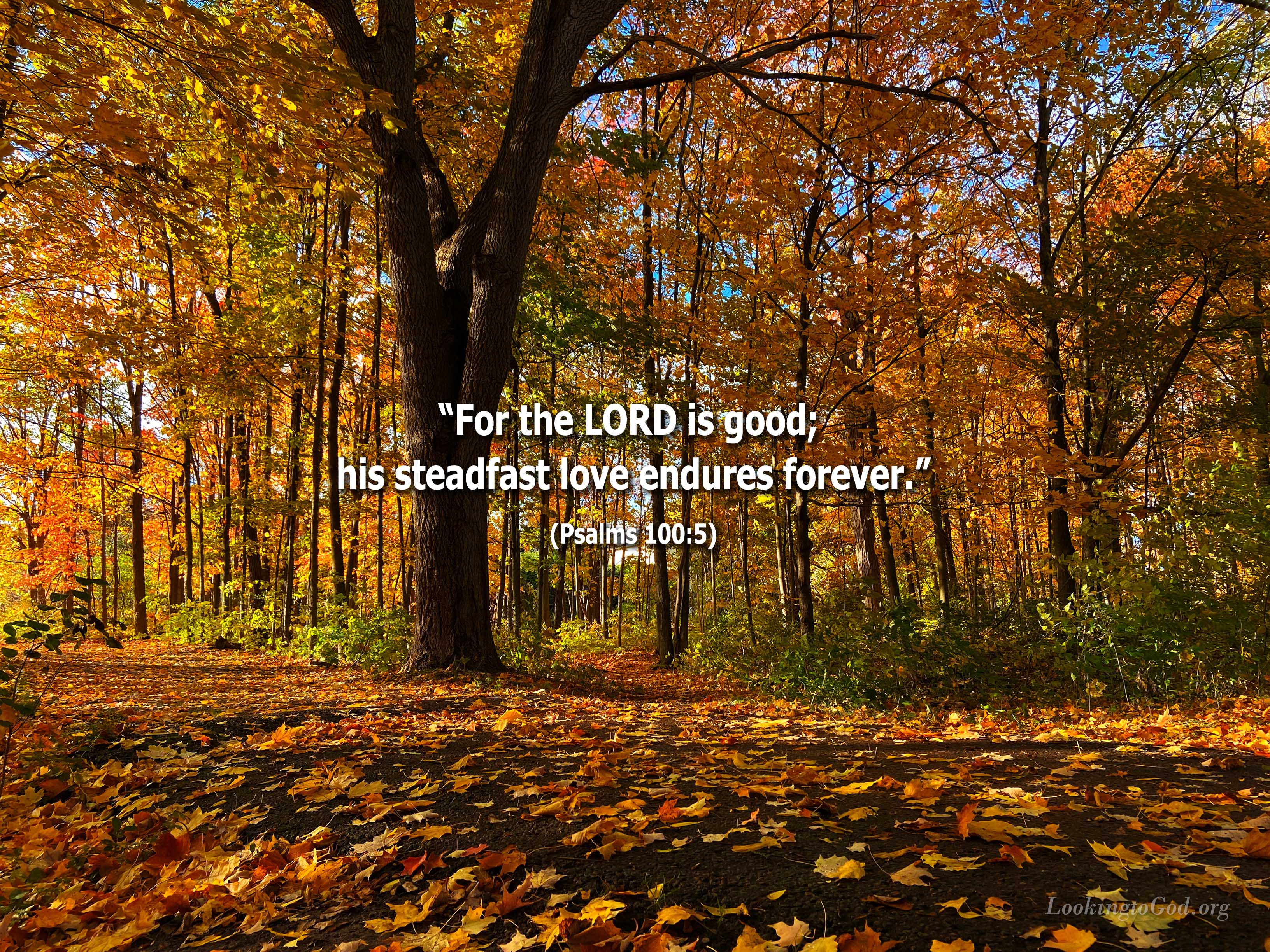 The Lord’s Steadfast Love Endures Forever – Looking to God