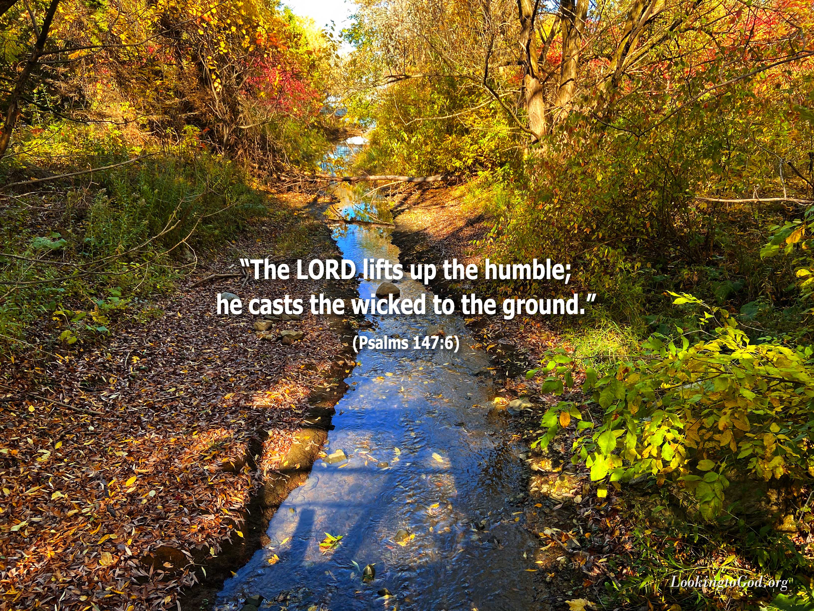 The Lord Will Lift Us Up – Looking to God