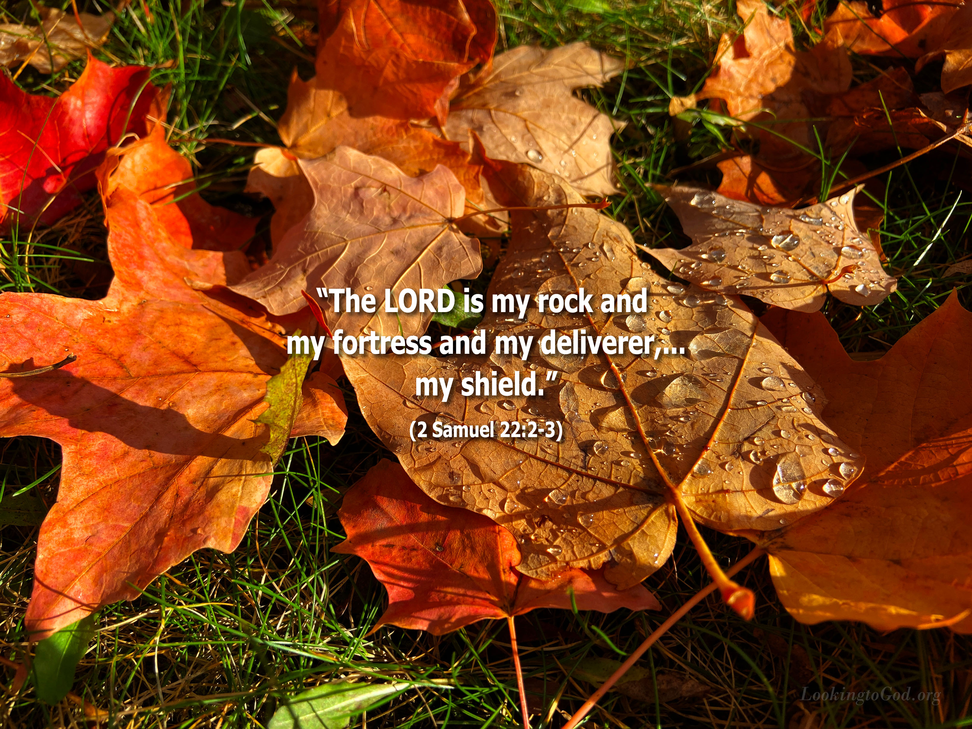 The Lord Is Our Shield – Looking to God