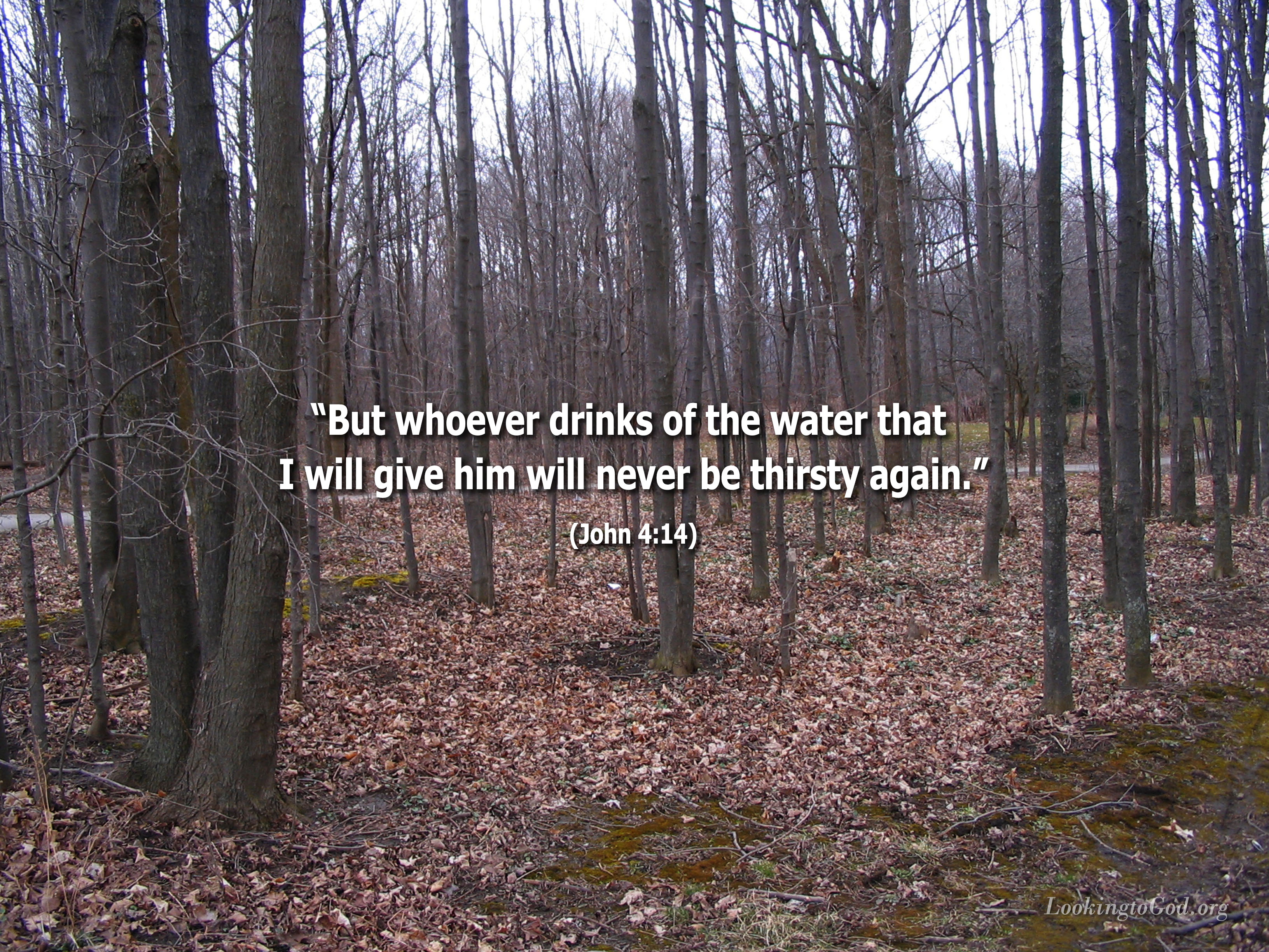 Drink of the Water of Eternal Life – Looking to God