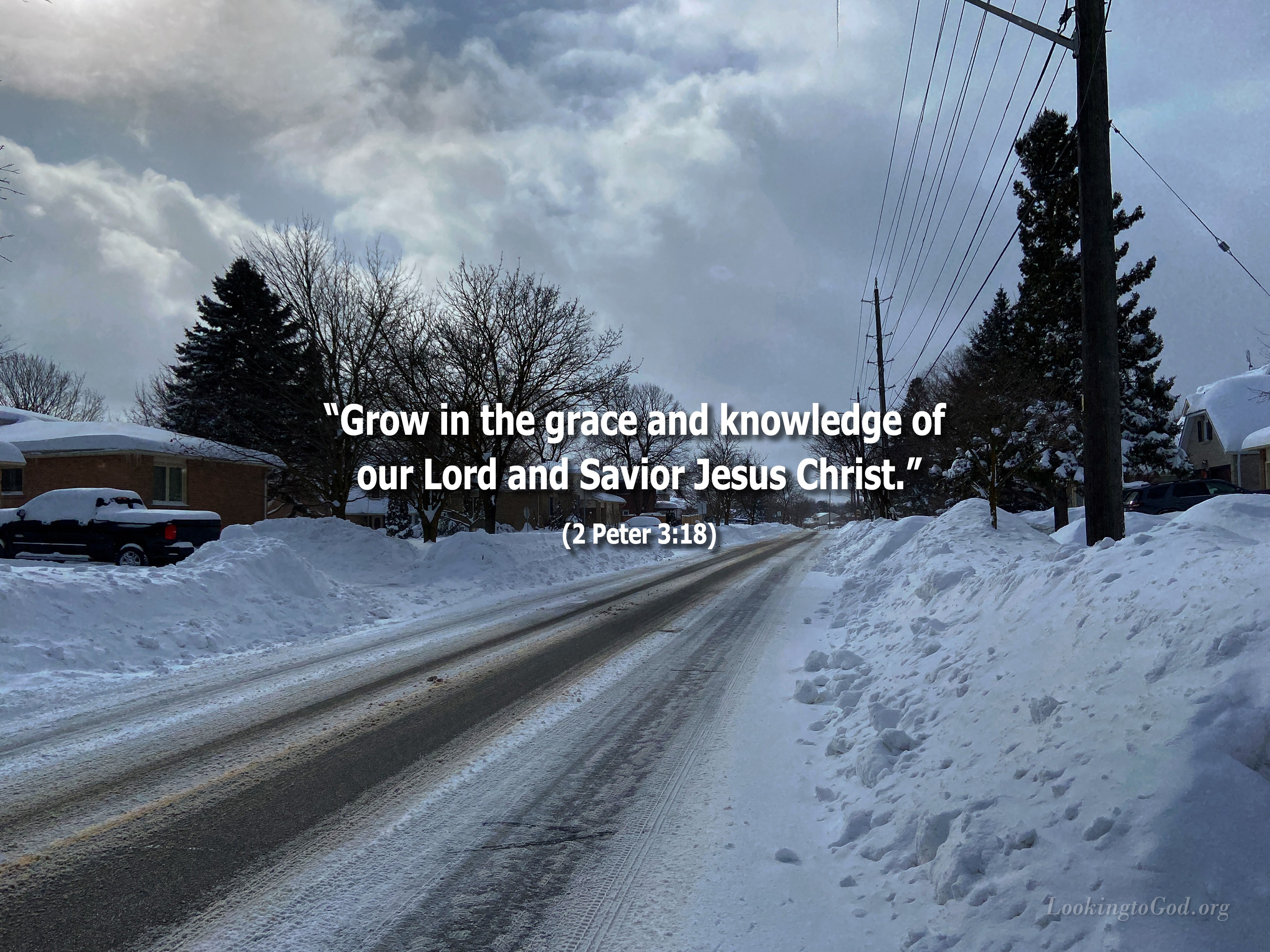 Jesus Is Our Lord and Savior – Looking to God
