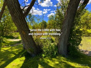 Serve the Lord – Looking to God